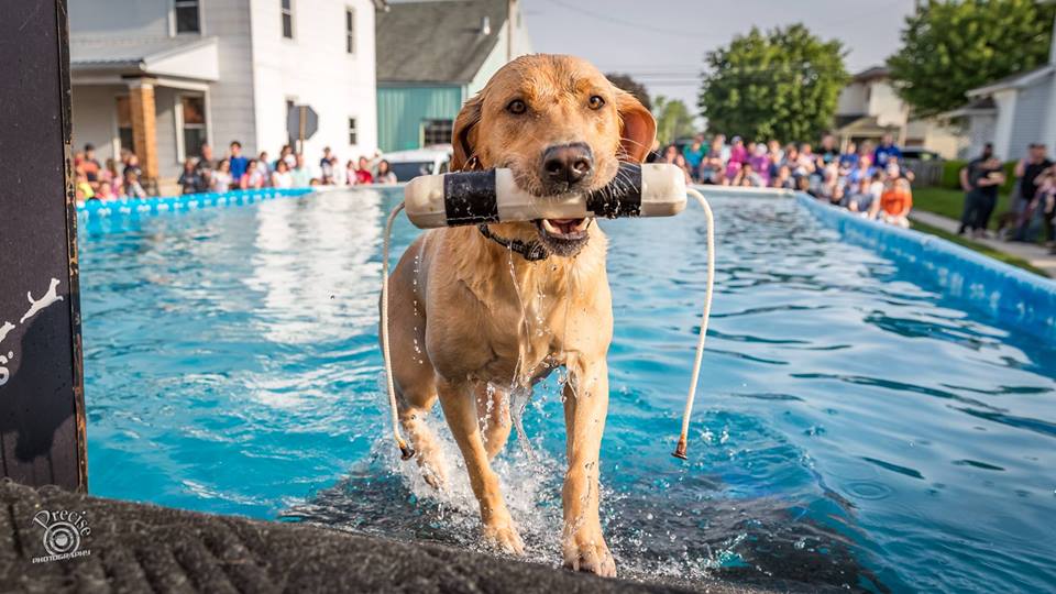 Visit Springfield Illinois | Travel & Tourism | Official Site