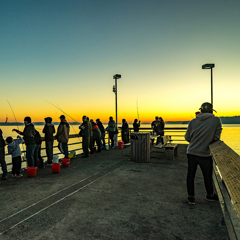 10 of the Best Trails, Parks & Beaches in Seattle Southside | Explore ...